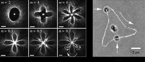 Optical Trapping With Complex Optical Patterns A Experimentally Download Scientific Diagram