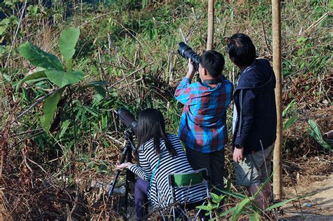 အောက်ချင်းမျိုးနွယ် အောင်လောင်ငှက်များကို လာရောက်ကြည့်ရှုဓာတ်ပုံရိုက်သူ