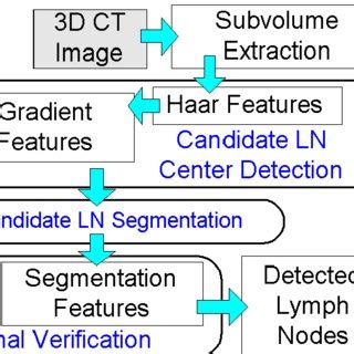 Diagram Of The Lymph Node Detection System Download Scientific Diagram