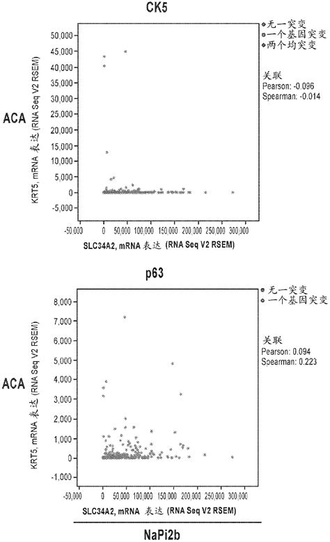 Compositions And Methods For Predicting Response To Napi2b Targeted Therapy Eureka Patsnap