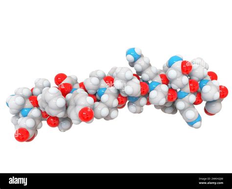 Antidiabetic Drug Tirzepatide Molecular Structure Illustration Stock