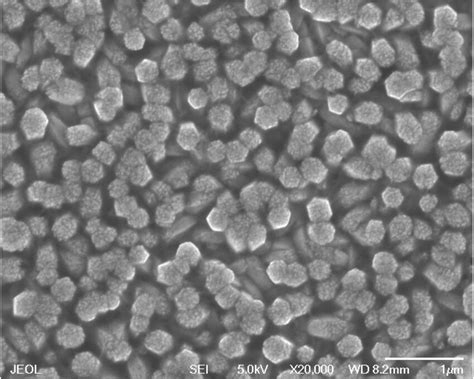 sem image of zno nanorods vertically aligned in ito glass download