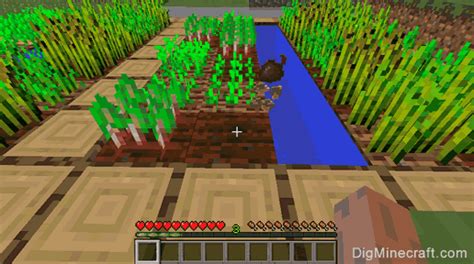 How To Make A Beetroot In Minecraft