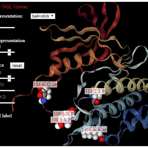 Pdf Musitedeep A Deep Learning Based Webserver For Protein Post Translational Modification