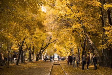 Shah Abbas Founded Safavid Empire Gopersis