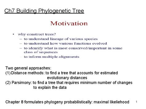 ch 7 building phylogenetic tree two general approaches