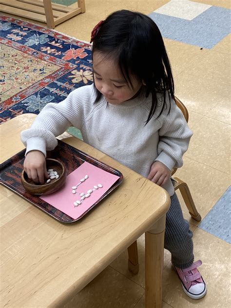 Montessori 101 And Normalization Tadm December 2022 Greene Towne