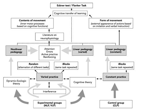 What Is Schmidt S Schema Theory Of Motor Learning Pdf