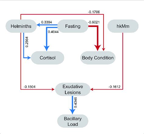 Refined Partial Least Square Path Model Red Arrows Indicate A Download Scientific Diagram