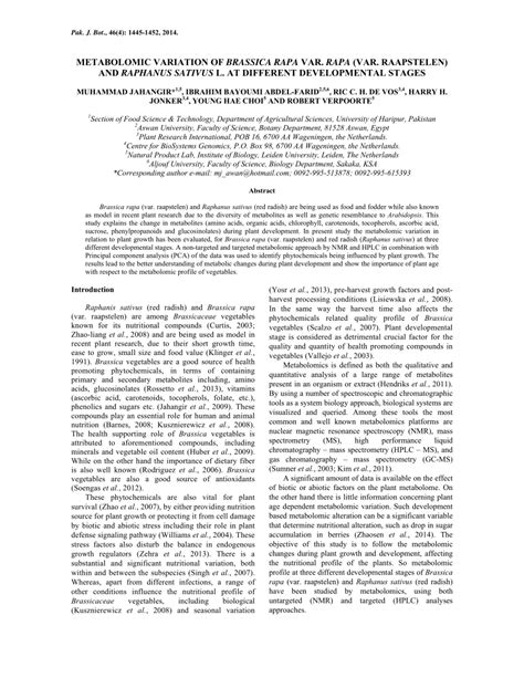 Pdf Metabolomic Variation Of Brassica Rapa Var Rapa Var Raapstelen And Raphanus Sativus L
