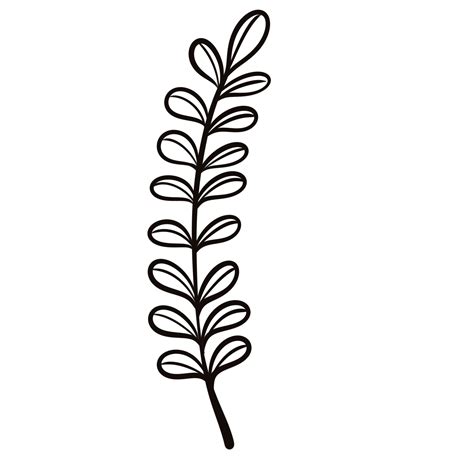 Hand Drawn Leaf Illustration Doodles Style 29227263 Png