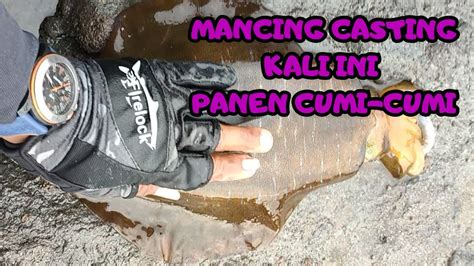 Mancing Casting Kali Ini Panen Cumi Cumi Youtube