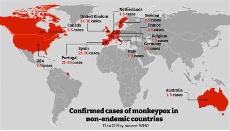 Where Are Monkeypox Cases Around The World Map Of Infections And How
