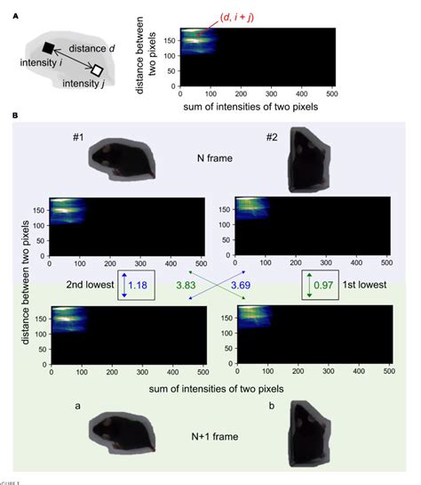 Figure 1 From Marker Less Tracking System For Multiple Mice Using Mask R Cnn Semantic Scholar