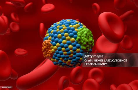 Low Density Lipoprotein Illustration High Res Vector Graphic Getty Images