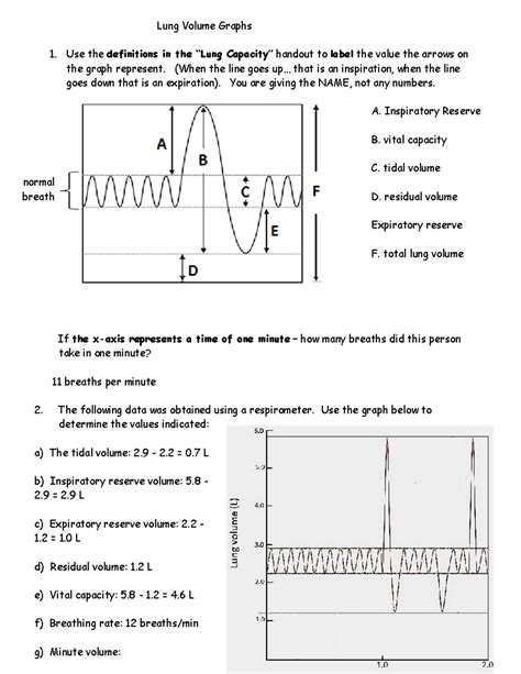 Lung Volume Graphs Definitions And Breathing Rates Analysis Studocu