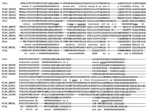 multiple alignment of ¯avodoxin sequences by clustalx default