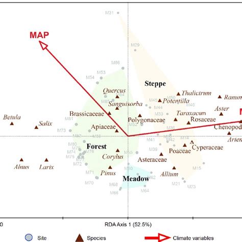 Pdf Characteristics Of The Modern Pollen Assemblages From Different