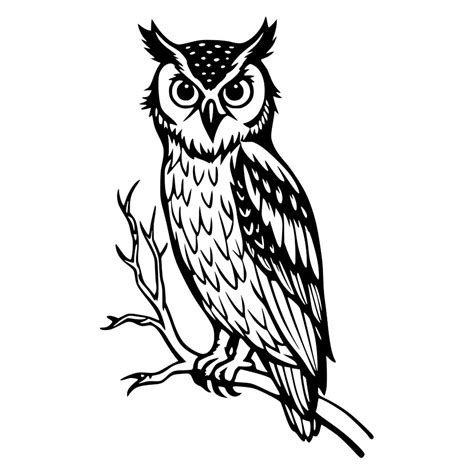 Watchful Owl Stare Design Svg Png Files For Laser Machines