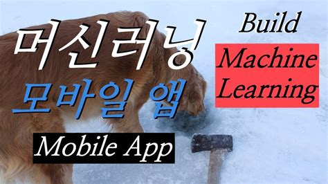 5종 신기神器 머신러닝 모바일 앱 5종 따라 만들기 Firebase Ml Kit 과 Flutter Tensorflow Lite 이용 과정 안내 Youtube