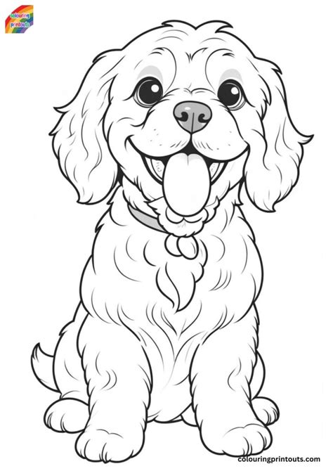 Cockapoo Colouring Pages Free Download