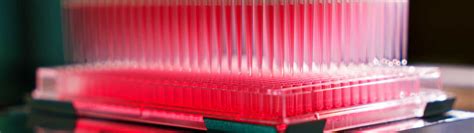 High Throughput Screening Nexus Personalized Health Technologies