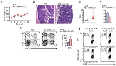 Mutual Expression Of The Transcription Factors Runx3 And Thpok