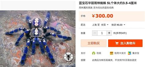 A David Bickham Sex Doll An Imaginary Girlfriend Or A Live Fox For £313 The Weird And Er