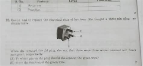 2ac Curtis Han In Replace The Electrical Plug Of Her Iron She Bought A