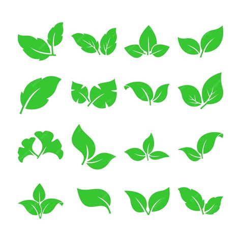 Premium Vector Set Of Leaf Vector