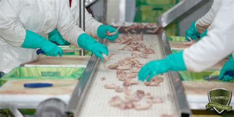 Prevent Microbes In Poultry In Poultry Processing Plants Airros