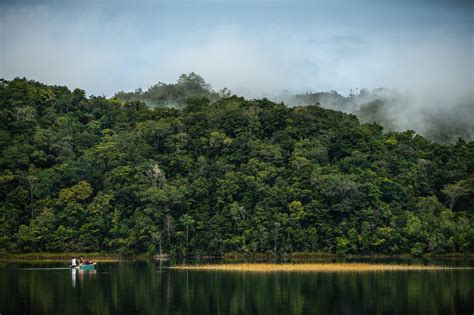 Selva Lacandona Disfruta Chiapas