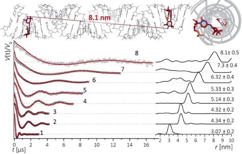 Background Corrected Peldor Time Traces Of Eight Different Samples With Download Scientific
