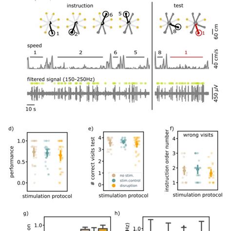 executing a sequential seq spatial memory task is not hippocampal
