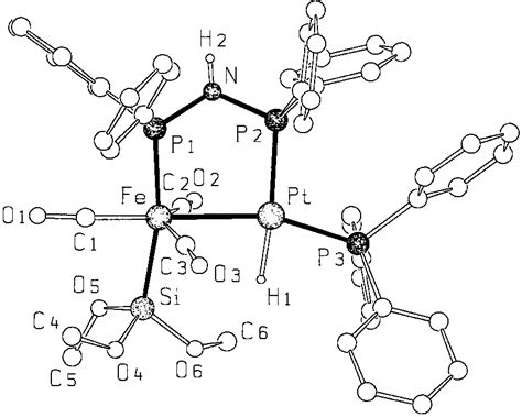 View Of The Crystal Structure Of 1b Showing The Atom Numbering Scheme