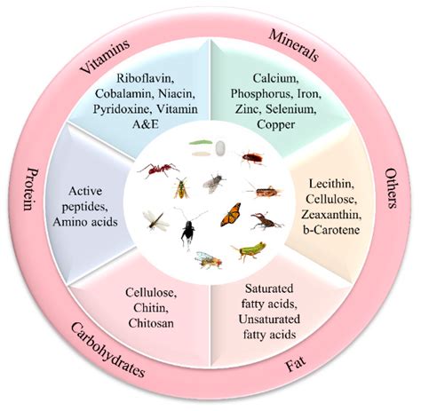 Arthropods Characteristics Chart