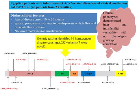 Clinical And Molecular Spectrum Of A Large Egyptian Cohort With Als2 Clinical And Molecular Spectrum Of A Large Egyptian Cohort With Als2
