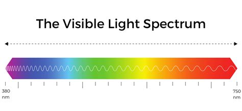 Colors Of The Rainbow Roygbiv