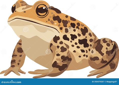 Simple Toad Clip Art With White Margins And Easy Cropping Royalty Free