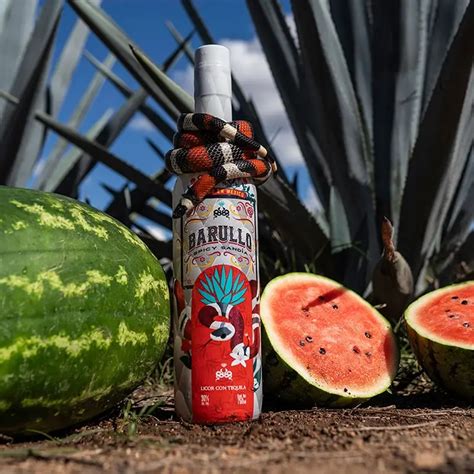 Hotspanishs Barullo Spicy Watermelon Tequila Hits Market