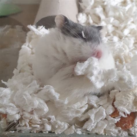 Amlnzu Tqfci60sgxcu79zb Mbu3vkucepjpz Xff3qus900 C K C0x00ffffff No Rj