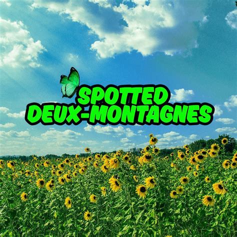 Avis Au Conducteur Aujourdhui 19 Juin A 17h02 Qui Passait Sur La 18e