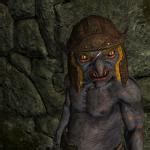 Immersive Playable Rieklings Races LoversLab