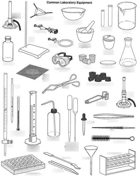 Common Laboratory Equipment Page One Diagram Quizlet
