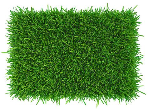 Grass Texture Background Texture Grassy Grass Photo And Picture For