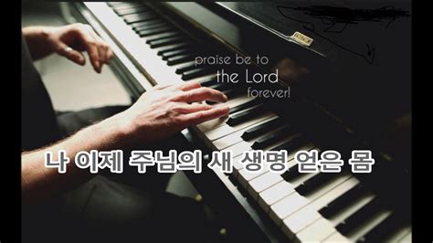 은혜로운 찬송가 연주 나 이제 주님의 새 생명 얻은 몸 Youtube