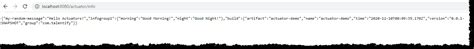 spring boot info actuator how to add custom information talentify