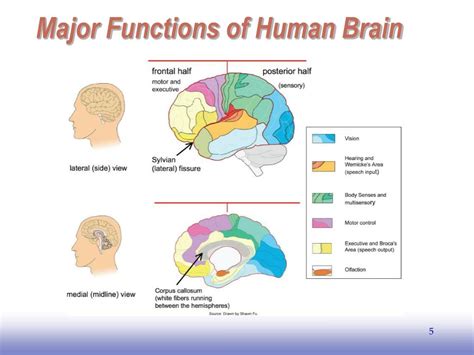 Ppt A Functional Framework For Cognition Powerpoint Presentation