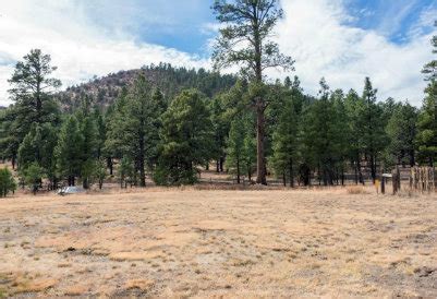 Doney Park East Flagstaff Az Homes For Sale