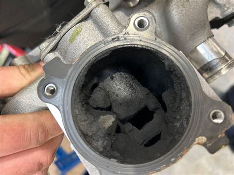 Walnut Blasting Nl Motors